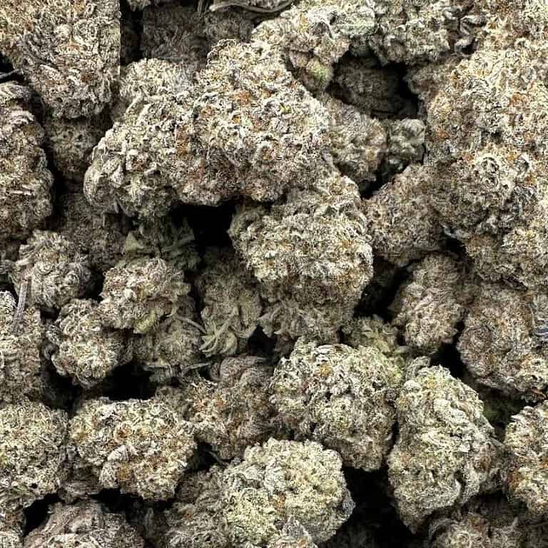 Quarter Pound THCa Flower | El Jay's | Affordable Bulk Options