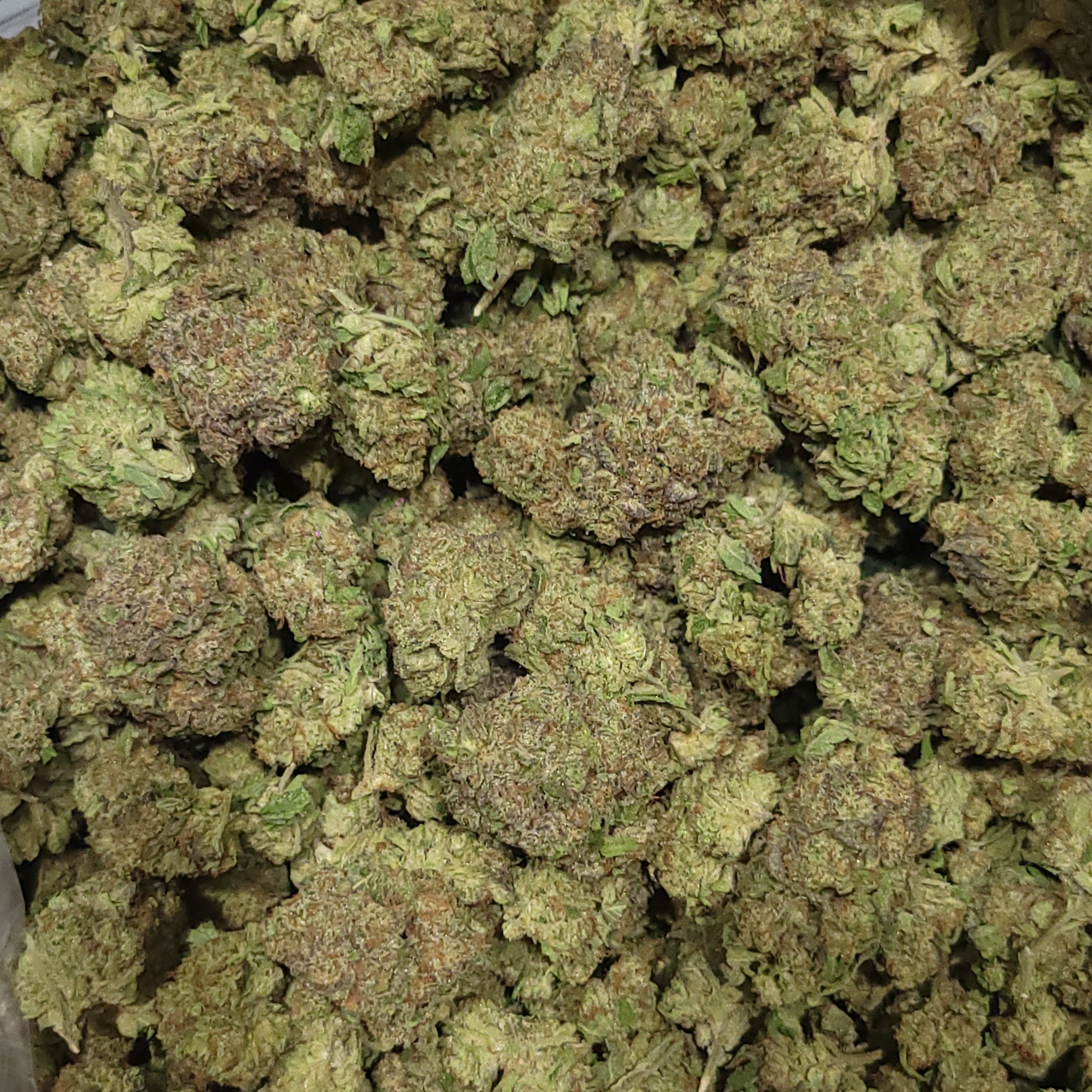 LCG THCa Hemp Flower Pounds | Bulk Pricing